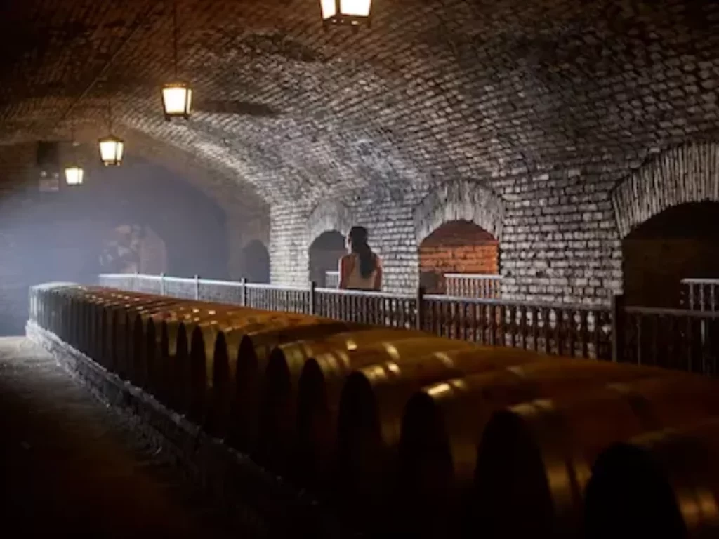 Concha y toro - La viña mas emblemática de Chile